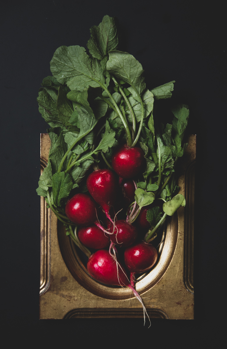 FARM-TO-CAMERA — Martine Chaisson Gallery