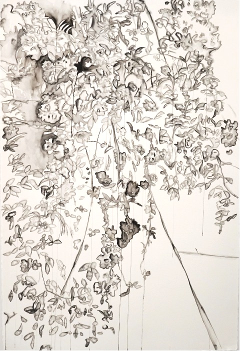 Vetiver — Martine Chaisson Gallery